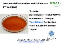 China Glucoamylase And Pullulanase Blended Enzymes For Ethanol ETHMEI GWP Technical Grade for sale