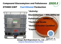 China Glucoamylase And Pullulanase Blended Enzymes For Ethanol ETHMEI GWP Technical Grade for sale