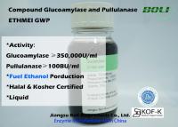 China Liquid Glucoamylase And Pullulanase Blended Enzyme Ethmei Gwp Higher Conversion Rate for sale