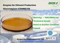 China High Concentrated Enzyme Activity Glucoamylase Ethmei Fd For Ethanol Production for sale