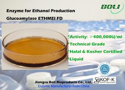 China High Concentrated Enzyme Activity Glucoamylase Ethmei Fd For Ethanol Production for sale