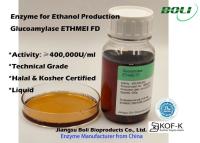 China High Concentrated Enzyme Activity Glucoamylase Ethmei Fd For Ethanol Production for sale