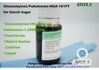 China Glucoamylase And Pullulanase HGA-101PT Starch To Sugar Enzyme for sale