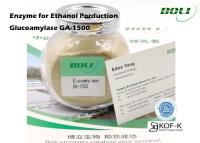 China Powder Glucoamylase Enzyme GA-1500 150000 U / G for sale