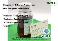 China High Activity Glucoamylase Enzyme ETHMEI FD For Ethanol Production for sale