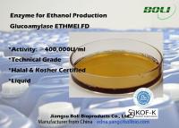 China High Activity Glucoamylase Enzyme ETHMEI FD For Ethanol Production for sale