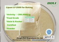 China Lipase LP-2000 High Efficient Bakery Enzyme 200000 U/g Powder Food Grade for sale