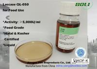 China 5000u/Ml Laccase Enzyme With Halal And Kosher Certificate for sale
