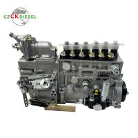 China Fuel Injection Pump BH6P110 5676 BH6P120 P10Z010 P10Z002 For C6121 Engine for sale