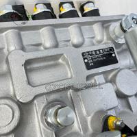 China Fuel Injection Pump BH6P110 5676 BH6P120 P10Z010 P10Z002 For C6121 Engine for sale