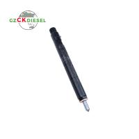 China Diesel Fuel Injector EJBR04001D 166009384R for Delphi Engine for sale