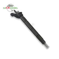 China Common Rail Fuel Injector 0445117040 0445117043 for Engine for sale