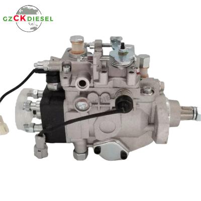 China Fuel Injection Pump 096500-3030 VE4/12E2100RND303 22100-67100 for 1KZ-TE Engine for sale