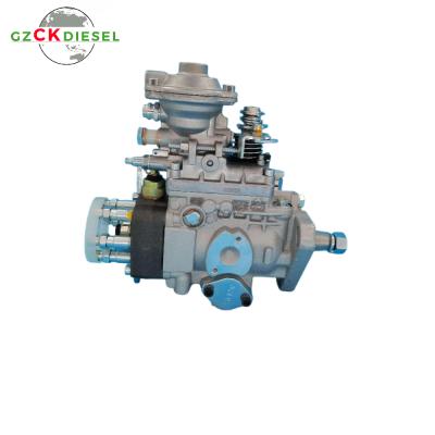 China Fuel Injection Pump 0460426163 VE6/12F1400R3873916914 for 6BT-5.9 Engine for sale