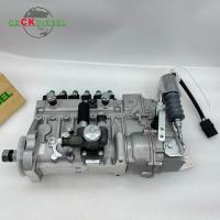 China Fuel Injection Pump T73208219 for 1006TG3 1006TG Excavator for sale