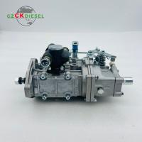 China Diesel Fuel Injection Pump BH4Q80R8 for NC485BPG 490BPG 4100BPG Excavator for sale