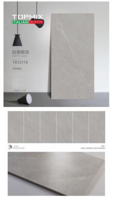 China Smart Indoor Wall Floor Tiles for sale