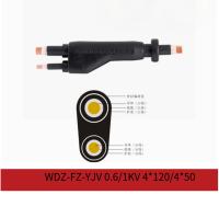 China IP67 Waterproof 4mm Branch Sheathed Flexible Cable Twin Core Wire 1KV OEM for sale