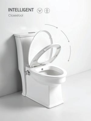 China White Bathroom Sanitary Ware One Piece Ceramic Water Closet Flush Closestool Toilet S Trap for sale