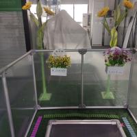 China Animal Pattern Acrylic Transparent Folding Pet Fence for Easy Indoor and Portability for sale
