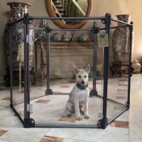 China Mill Finish USA Market DIY Transparent Foldable Pet Fence Cage for Small Animals for sale