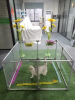 China Button Closure Acrylic Safety Heavy Duty Large Pet Dog Playpen with Aluminium Fence for sale