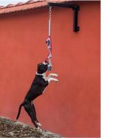 China Steel Spring Pole Set for Dogs Training Dog Bounce Bracket 2024 for sale