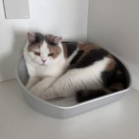 China Hand Wash Large Pet Cat Litter Pan Pattern Solid Manual Cleaning Kitty Cat Toilet Box for sale