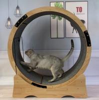 China Indoor Cats Wooden Treadmill for Exercise and Play Shipping from Shanghai or Nanjing for sale