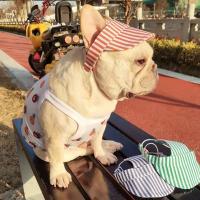 China Outdoor Dog Cap with Ear Holes Keep Your Pet Cool and Protected in the Sun for sale