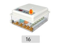 China Shanghai or Nanjing Port Home Incubator for Hatching Chicken Duck Goose and Pigeon Eggs for sale