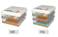 China Shanghai or Nanjing Port Home Incubator for Hatching Chicken Duck Goose and Pigeon Eggs for sale
