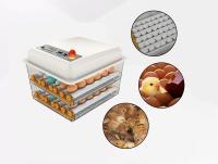 China Shanghai or Nanjing Port Home Incubator for Hatching Chicken Duck Goose and Pigeon Eggs for sale