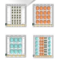 China Automatic Eggs Incubator Machine for Poultry Egg Hatching in Shanghai or Nanjing for sale