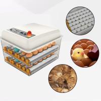 China 20 GP Loading 70 Sets Fully Automatic Chicken Egg Incubator for Poultry Rearing for sale