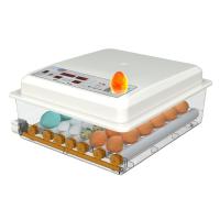 China 20 GP Loading 70 Sets Fully Automatic Chicken Egg Incubator for Poultry Rearing for sale