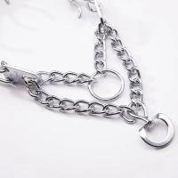 China Silver Dog Collar for Pet Training Aheasoun Prong Collar Choke Collar Pinch Collar for sale