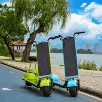 China Solar Electric Balance Scooter for Commuting Loading Quantities 40 HQ Loading 168 Sets for sale