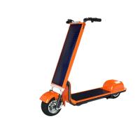 China Category Two-wheel Scooter Max Speed 18km/h Solar Electric Balance Bike for Adults for sale