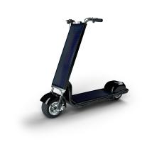 China Category Two-wheel Scooter Max Speed 18km/h Solar Electric Balance Bike for Adults for sale