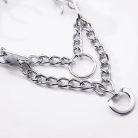 China Modern Style Stainless Steel Dog Collar Chain for Customized Professional Training for sale