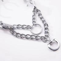 China Stainless Steel Pet Training Chain Dog Collar for Effective Dog Training for sale