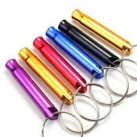 China 4.5cm*0.8cm Dog Whistle Keychain for Pet Training Loud Sound Aluminum Alloy Whistle for sale