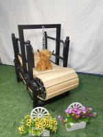 China Small Dog Treadmill Manual Exercise Equipment with Custom Weight and 0.30mm Thickness for sale