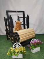 China Wood Customized Logo Animal Treadmill for Dogs Pets Aluminum Treadmill Walking Machine for sale