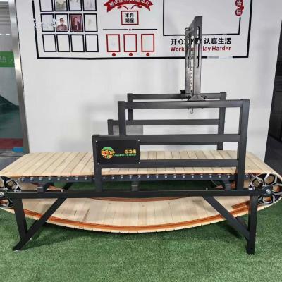 China Maximum Speed 1 Kilometers per Hour Dog Fitness Treadmill for Indoor Outdoor Training for sale