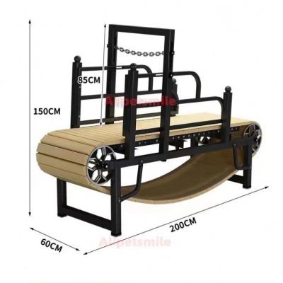 China Electrophoresis Treadmill for Dog Exercises Shipping from Shanghai or Nanjing Port for sale