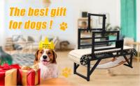China Alipetsmile Dog Treadmill Pit Bull Running Machine Slatmill for Dogs Item Type Others for sale