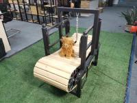 China Sustainable Outdoor Dog Treadmill Training and Exercise Equipment for Large Dogs for sale