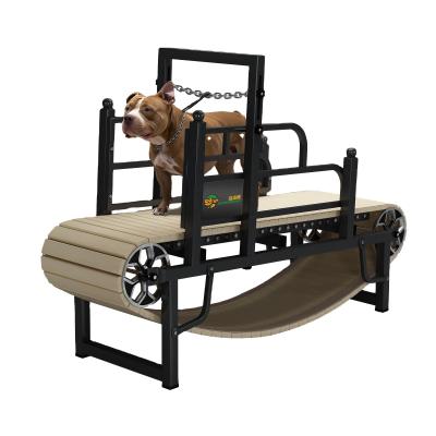 China 220 lb Capacity Dog Treadmill for Daily Training Enhance Your Dog's Well-Being for sale